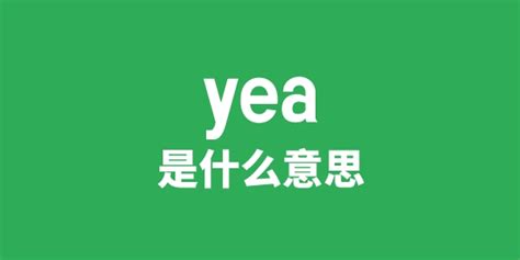 yea是什么意思 yea怎么读 中文翻译是什么 学习力