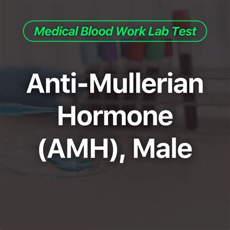 Anti Mullerian Hormone AMH Male Blood Work Lab Test Wittmer Rejuvenation Clinic