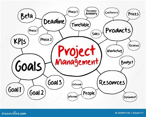 Project Management Mind Map Flowchart Business Concept Stock