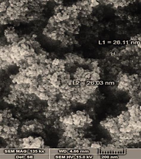 SEM Micrograph Of Fe O A And Fe O SIO B Download Scientific Diagram