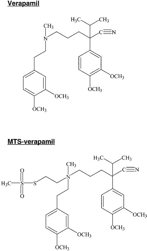 Structure Of Verapamil And Mts Verapamil Download Scientific Diagram