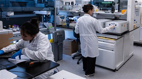 Zero Biased Bionic Fingertip E Skin With Multimodal Tactile Perception And Artificial