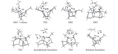 The Optimized Structures Of Related Transition States And Intermediates