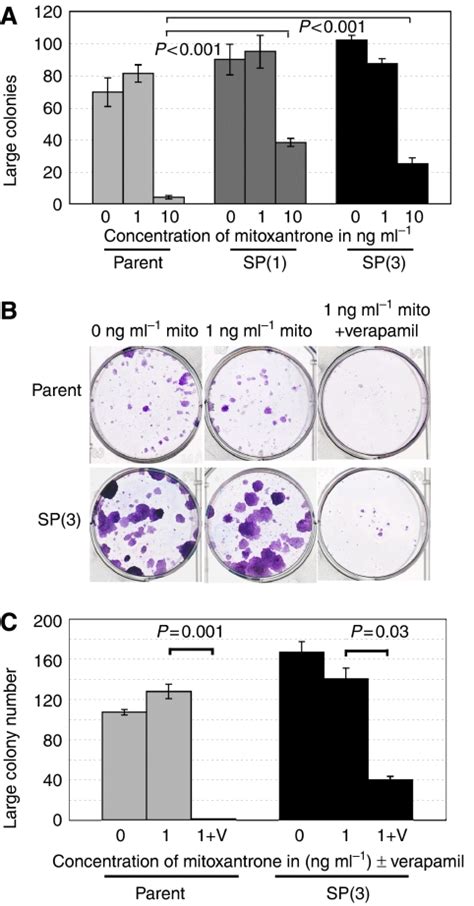 Side Population Cells Have An Increased Level Of Resistance To