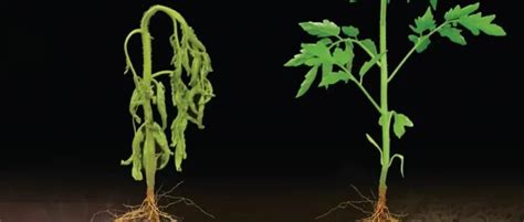 一地卫健委：坚持去行政化，已缩减一批行政科室 Book学术