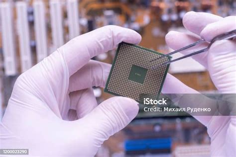 실험실에서 작업 Cpu 프로세서 칩을 들고 과학자 손을 닫습니다 반도체에 대한 스톡 사진 및 기타 이미지 반도체 Cpu