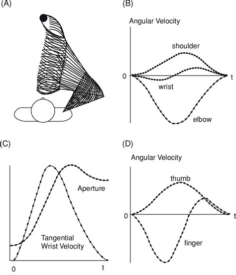 Simulated Reach And Grasp Based On The Posture Based Motion Planning Download Scientific