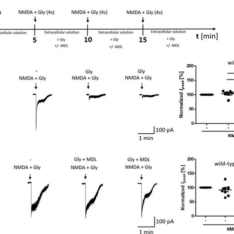 Nmdar Overactivation Induced Endocytosis Decreases Nmdar Mediated Ionic