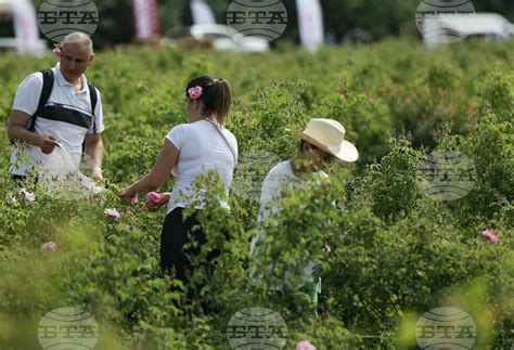За предстоящия розобер работниците трябва да се наемат на трудов договор напомнят от