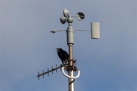 What Is An Anemometer Used For Anemometer Uses Types And How It Works