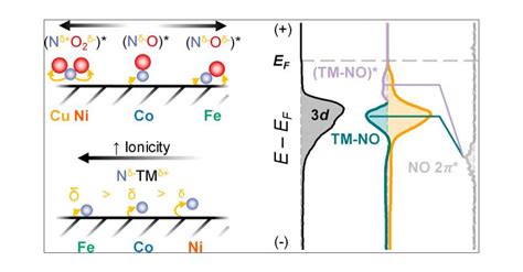 Interaction Of Nitric Oxide With Late 3d Transition Metals