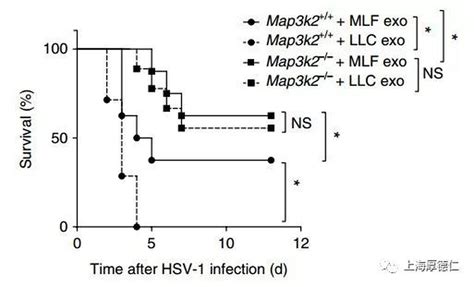惊呆了！中国科学家发现巨噬细胞竟会接受癌细胞“ 贿赂”！