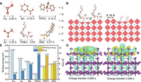 Efficient Pure Red Perovskite Light Emitting Diodes With Strong Passivation Via Ultrasmall Sized