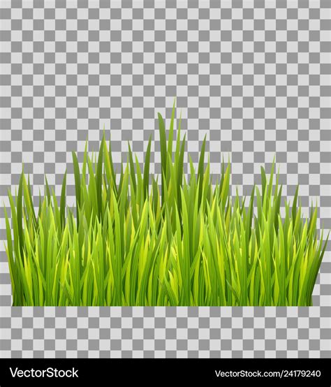 Grass Bottom Border