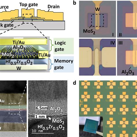 Pdf Hf0 5zr0 5o2 Ferroelectric Embedded Dual Gate Mos2 Field Effect Transistors For Memory