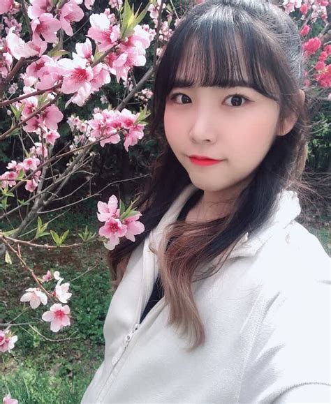 하린 벚꽃이 벌써 다 져버려서 집 앞에 예쁜 꽃이랑 찍었어용🌸 🐰 ️ 핑크판타지 Pinkfantasy ピンクファンタジー 마이돌엔터테인먼트 핑판 하린