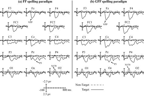 Superimposed Grand Averaged Erp Waveforms Elicited By Non Target And