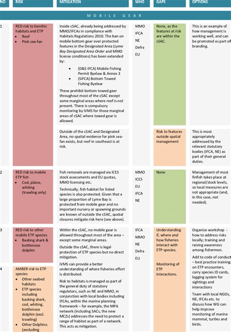 Risk Analysis Mitigation And Options Download Table