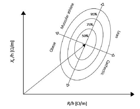Example Of A Calibration Model Standardized By The Height H Download Scientific Diagram
