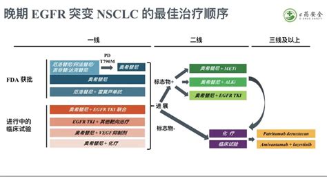 肺癌，egfr突变靶向进展后的治疗策略 Egfr 肺癌 靶向 策略 突变 健康界