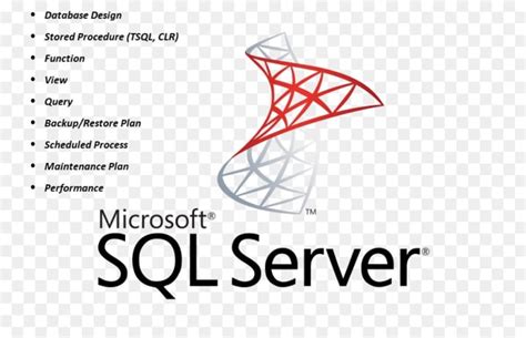 Create Your Sql Server Database By Farzinsn Fiverr