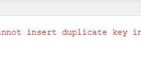 SQL Violation Of Primary Key Constraint Found Duplicate Key Value