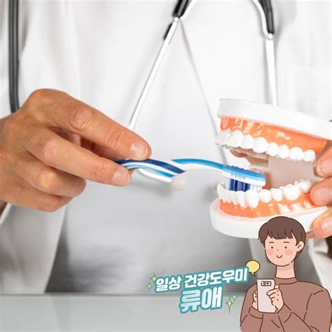 셀프 치석제거 방법 및 치석제거 치약 알아보기 네이버 포스트