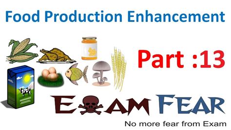 Biology Food Production Part 13 Single Cell Protien Class 12 Xii