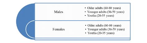 Segmentation Of The Focus Group Discussions By Age And Sex Download Segmentation Of The Focus Group Discussions By Age And Sex Download