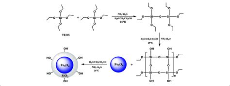 Synthesis Of Fe O SiO Download Scientific Diagram