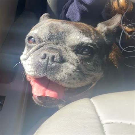 Caroline Croker Team Manager Schneider Electric Linkedin