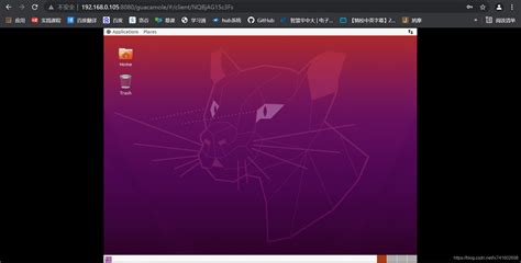 guacamole使用数据库mysql实现远程桌面控制 guacamole mysql csdn博客