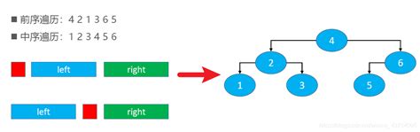 《恋上数据结构第1季》二叉树基础、真二叉树、满二叉树、完全二叉树、二叉树的遍历（重点） Csdn博客