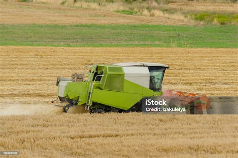 큰 녹색은 수확기 기계를 결합 하 여 밀 금 밭에서 일하고 여름 들판에서 잔디를 모입니다 농장 기계는 비옥한 농장 밭에서 곡물을 수확 합니다 0명에 대한 스톡 사진 및 기타