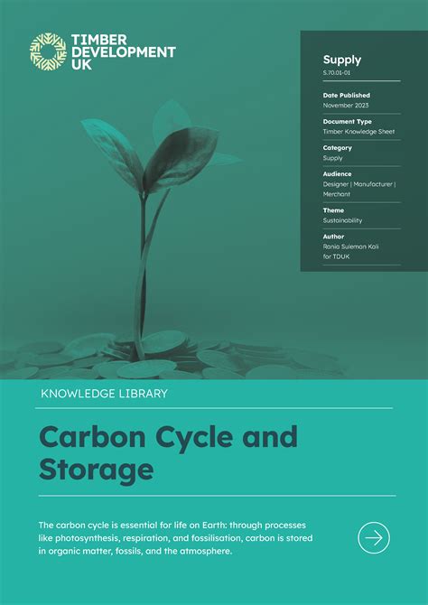 Carbon Cycle And Storage Timber Development Uk