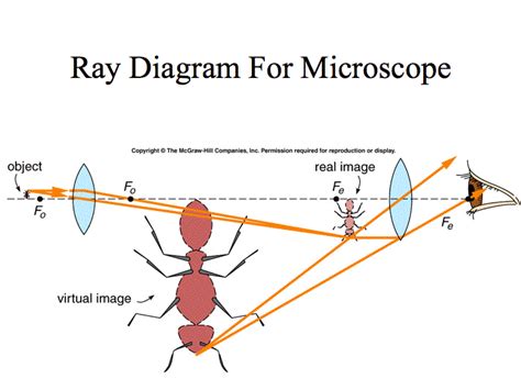Microscope Ray Diagram
