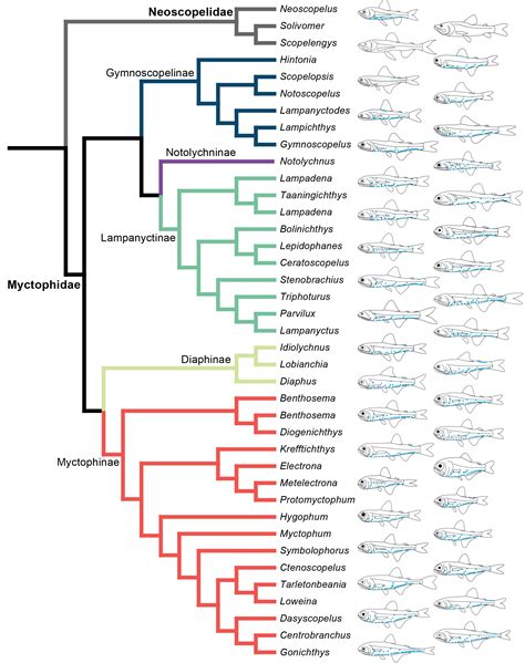 Evolutionary Classification