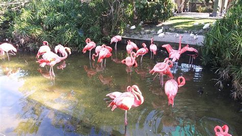 Bootcamp Notes Day 1 Mon Htmlcssjavascript