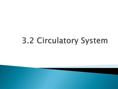 Circulatory System Functions Components And Diseases