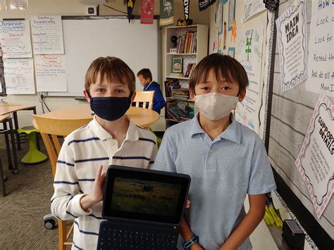 Elementary Biome Project