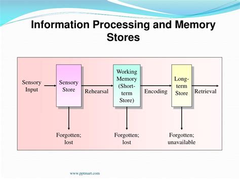 Ppt Consumer Learning Powerpoint Presentation Free Download Id 2260704