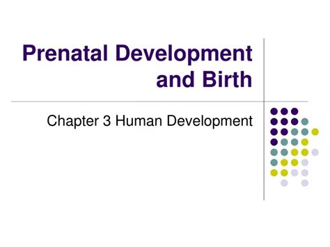 Ppt Prenatal Development And Birth Powerpoint Presentation Free Download Id 9439082