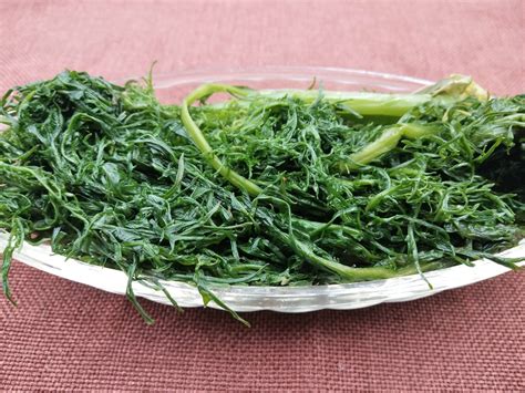 雪里红腌菜雪菜咸菜雪里蕻酱菜农家自制脆爽下饭菜新鲜 3斤装包邮 虎窝淘