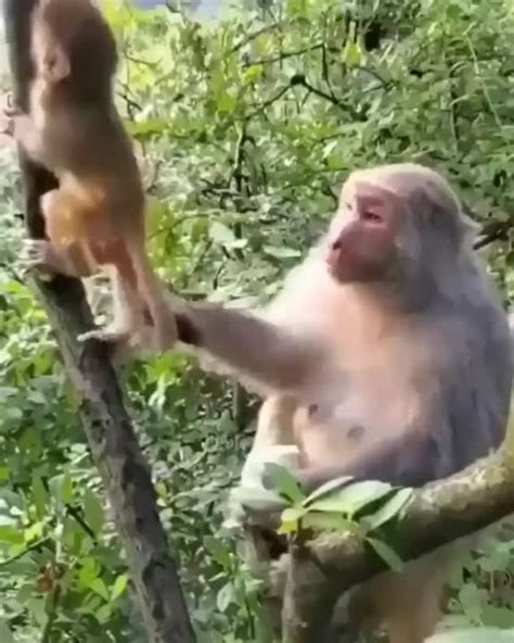 Sayed Mohammad Ferdaus Posted On Linkedin