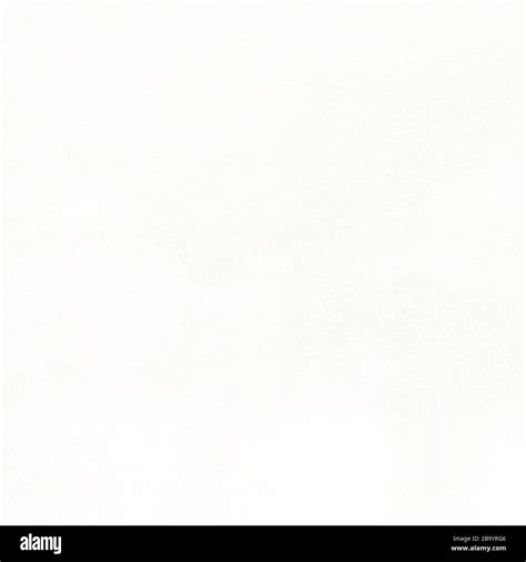 Color Blanco
