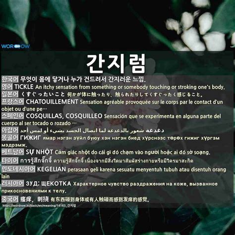 간지럼 瘙痒，刺挠