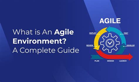 Understanding What Is An Agile Environment
