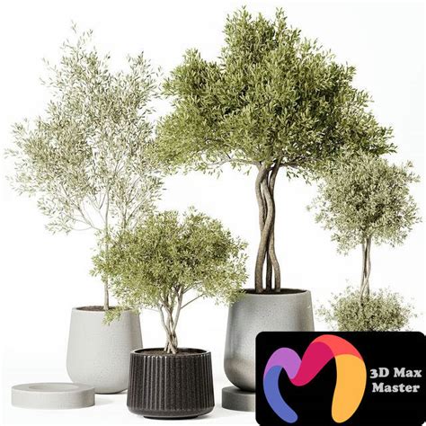 Indoor Plant Set 019 3d Max 3dmaxter