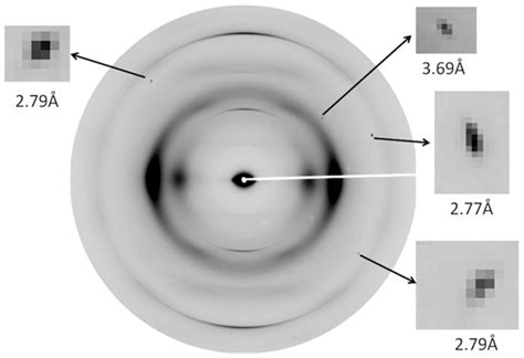 This Waxs Pattern Shows Diffraction Characteristic Of Cellulose Fibers Download Scientific