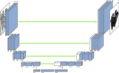 the u net architecture the u net architecture comprised convolutional